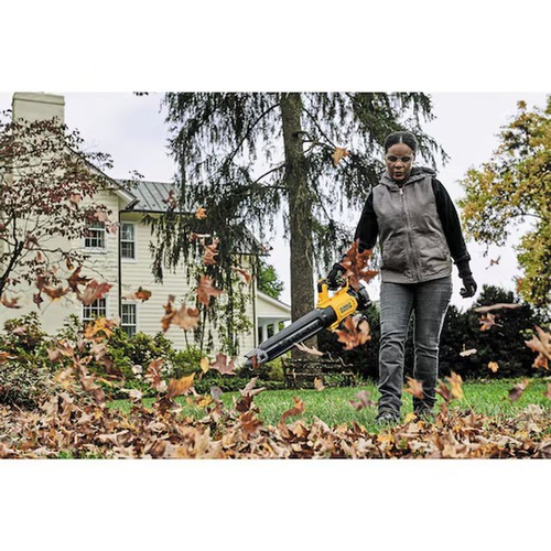 Dewalt DCBL722B 20V MAX XR Lithium-Ion Brushless Handheld Cordless ...